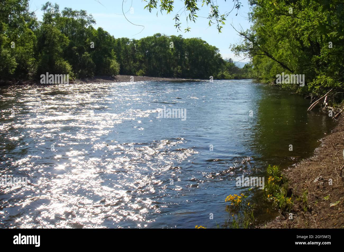 Small Bor tract, Hakkasia. Forests and meadows Khakassia Stock Photo ...