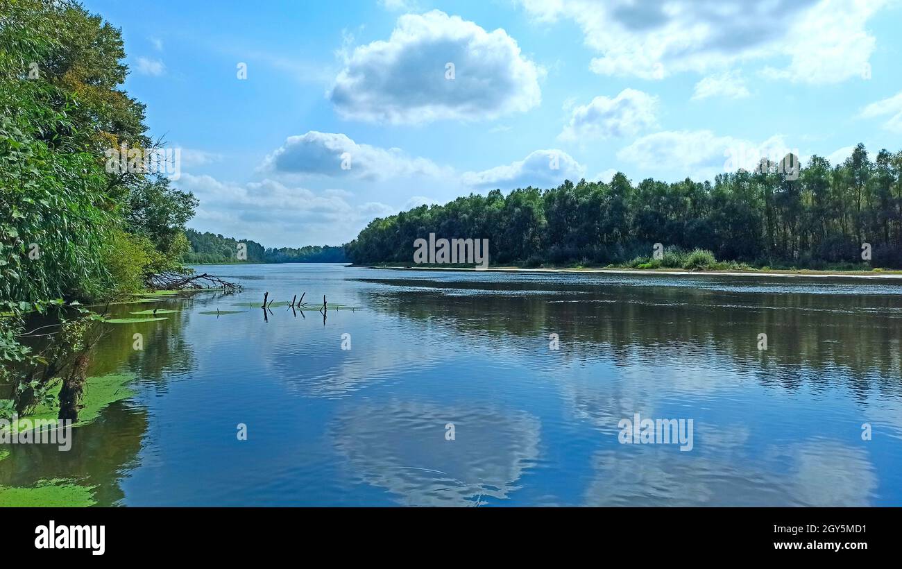 Wide river with green coasts and sky with clouds. Beautiful landscape ...