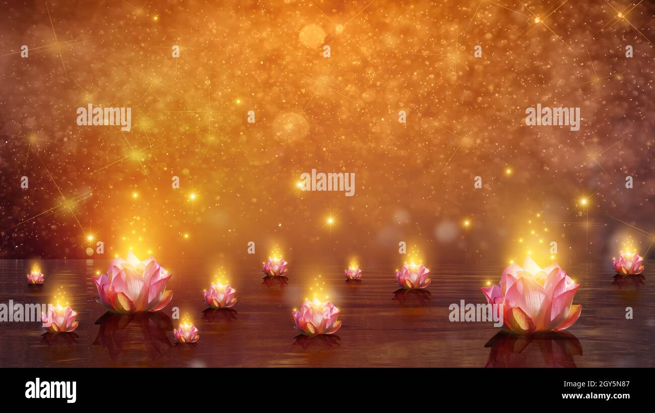 lotus Float water lotus flower on orange background Stock Photo - Alamy