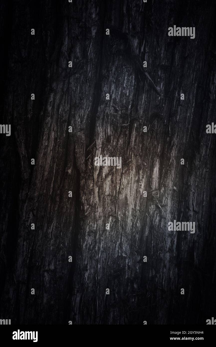 a color texture reflection grunge Stock Photo - Alamy