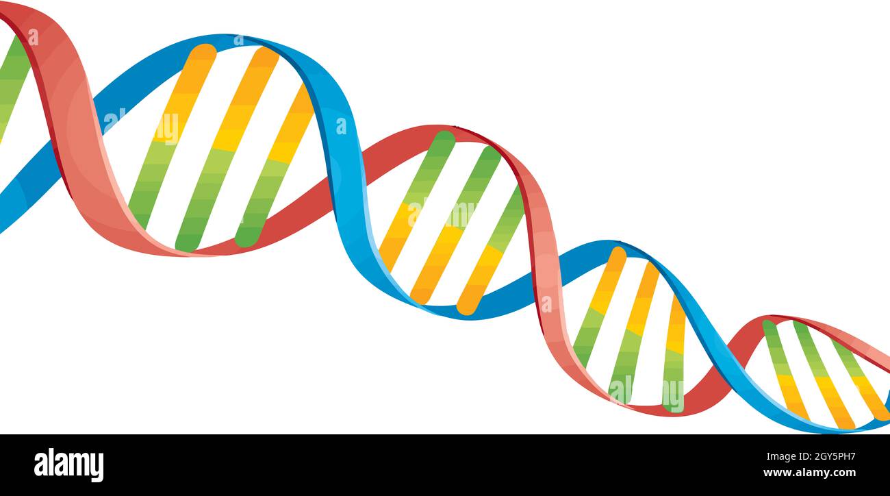 dna gene biology life illustration Stock Photo - Alamy