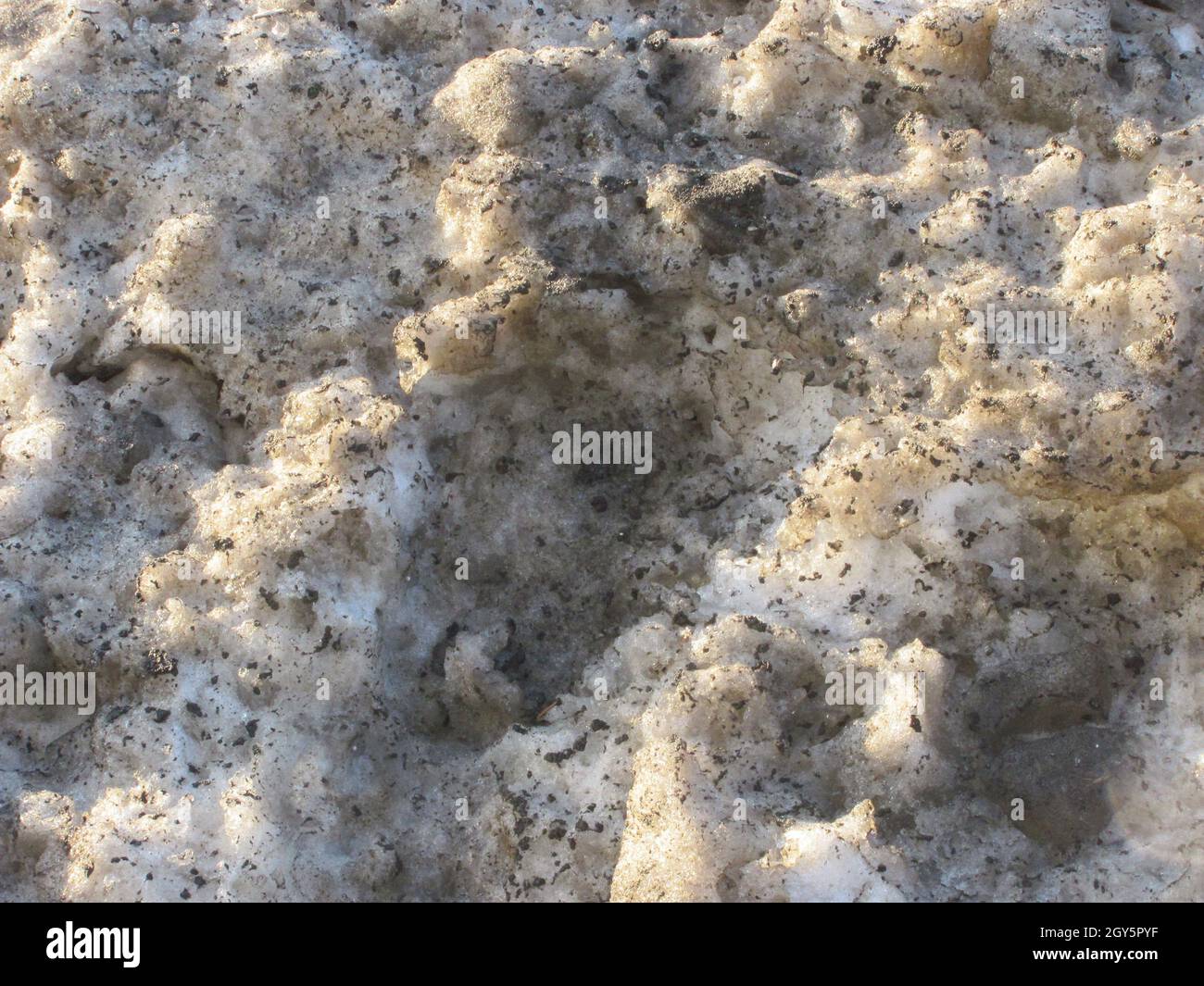 Background: muddy spring melting snow Stock Photo - Alamy
