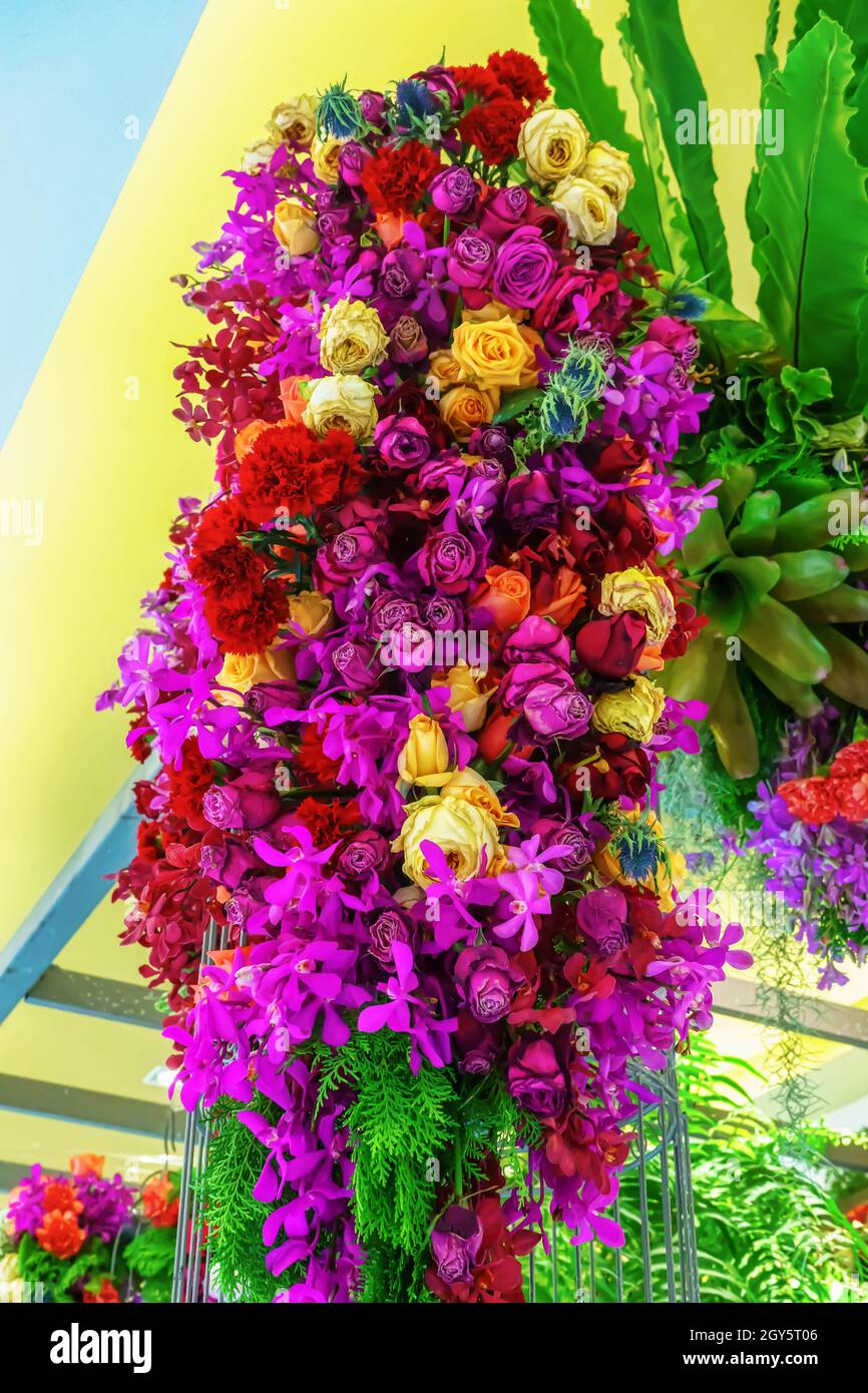 The flowers are beautiful and refreshing. Its beautiful Stock Photo - Alamy