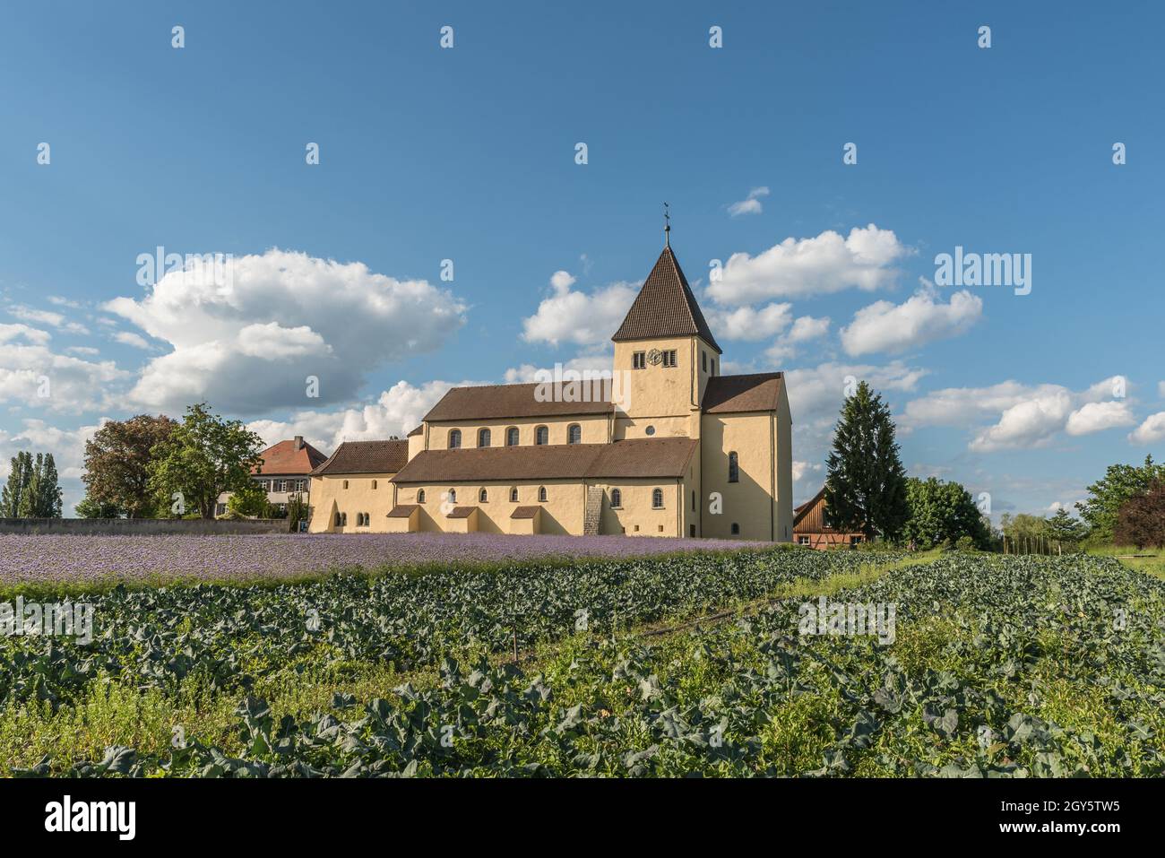 St. Georg church on Reichenau Island with cabbage field and flower ...
