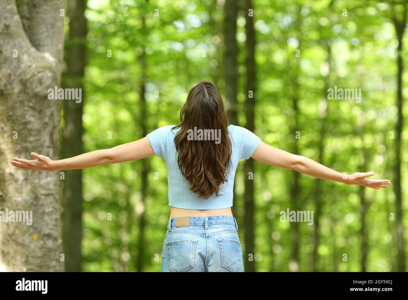 Back view of a happy woman outstretching arms in a forest Stock Photo ...