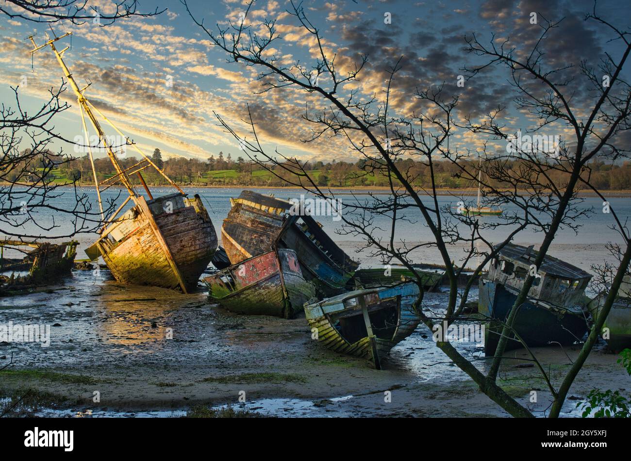 Old abandoned boats left at Pin Mill Suffolk on the banks of river ...