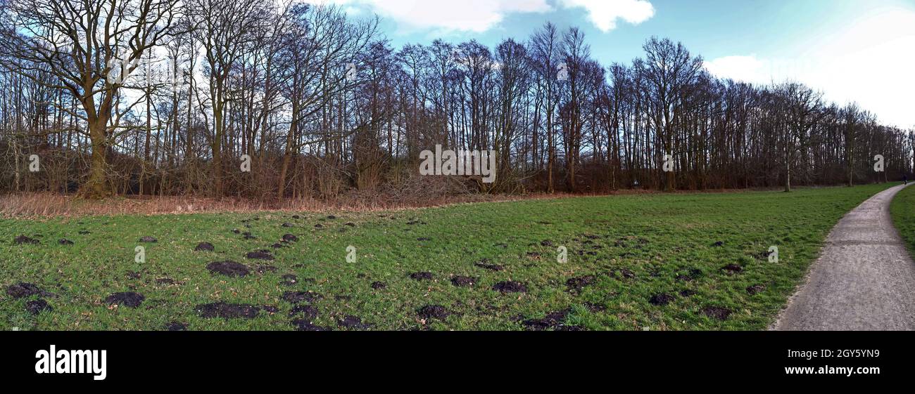Beautiful high resolution panorama of a northern european country ...