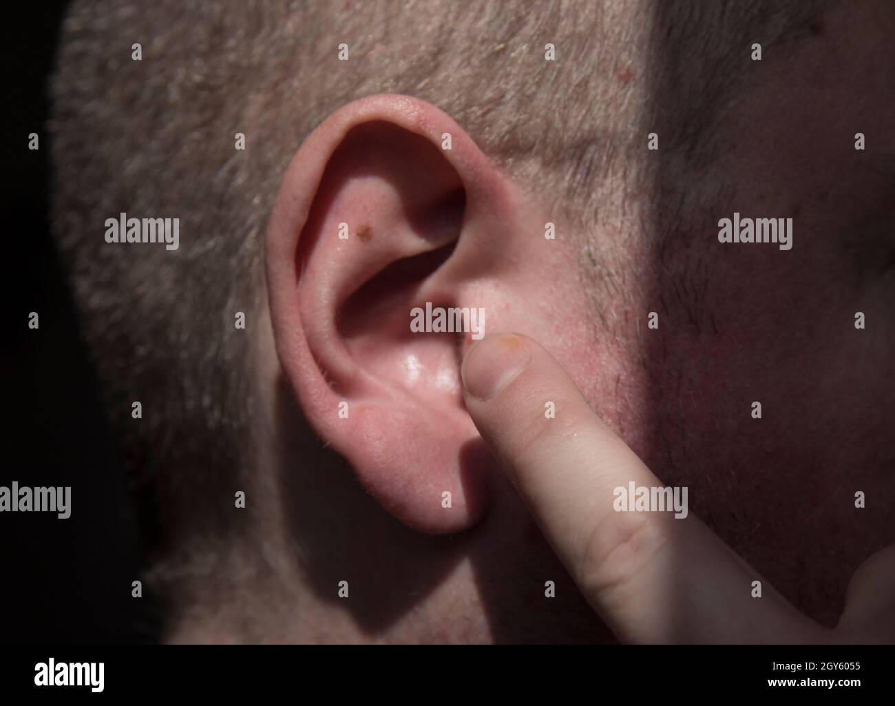 Sense organs hi-res stock photography and images - Alamy