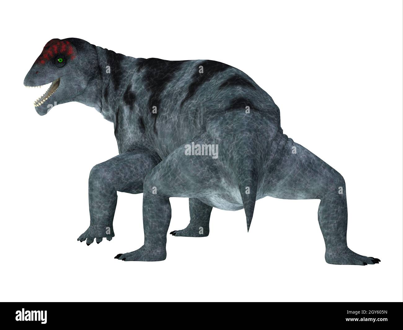 Moschops was a therapsid herbivorous dinosaur that lived during the ...