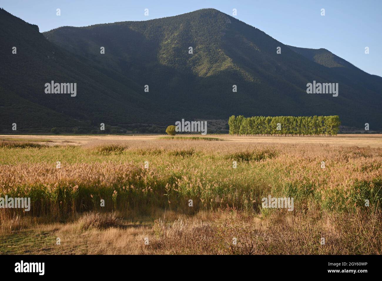 Natural rural landscape in the countryside of Corinthia, Greece Stock ...