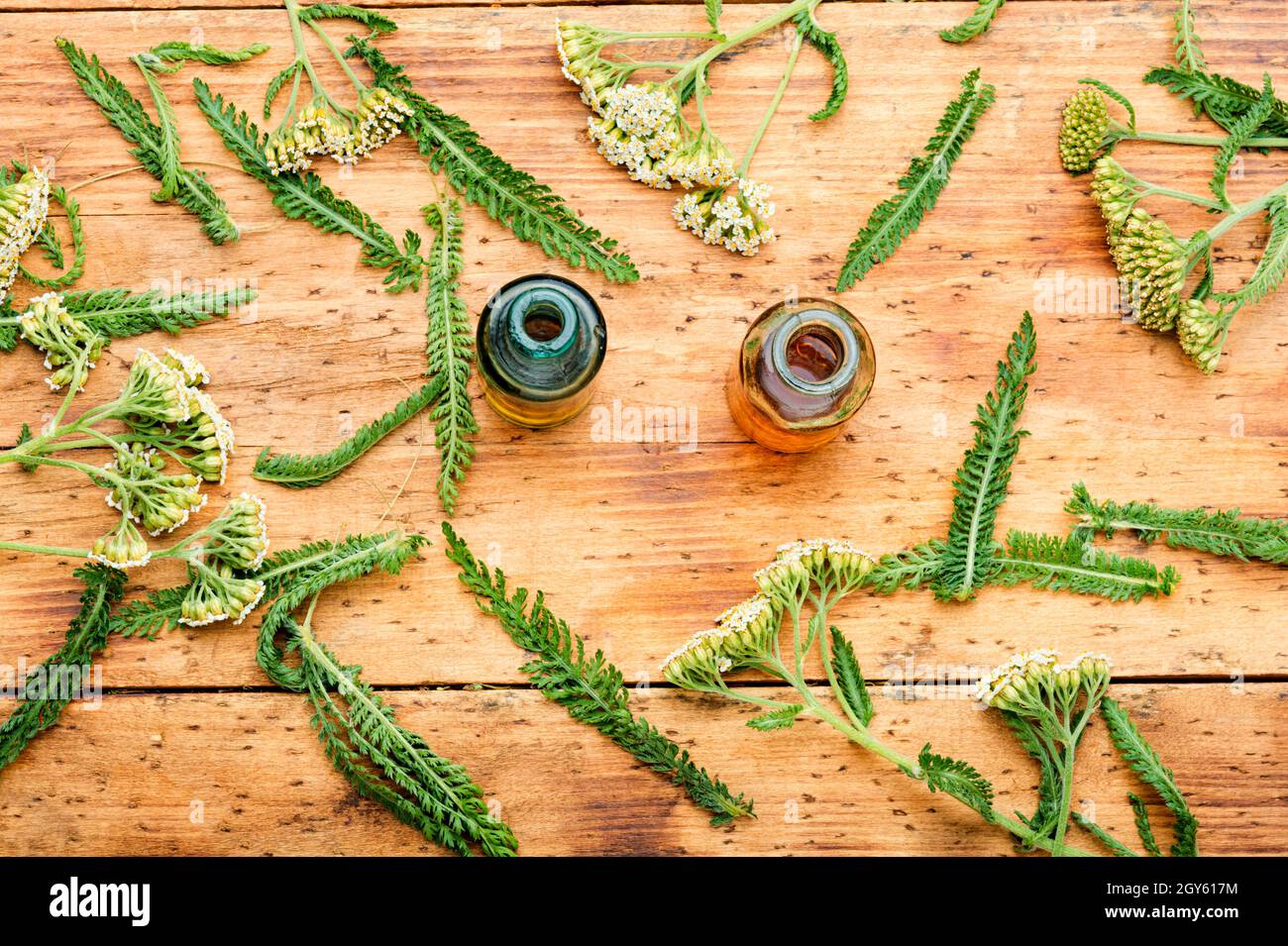Jar of yarrow tincture.Medicine made from healing herbs.Herbalism and ...