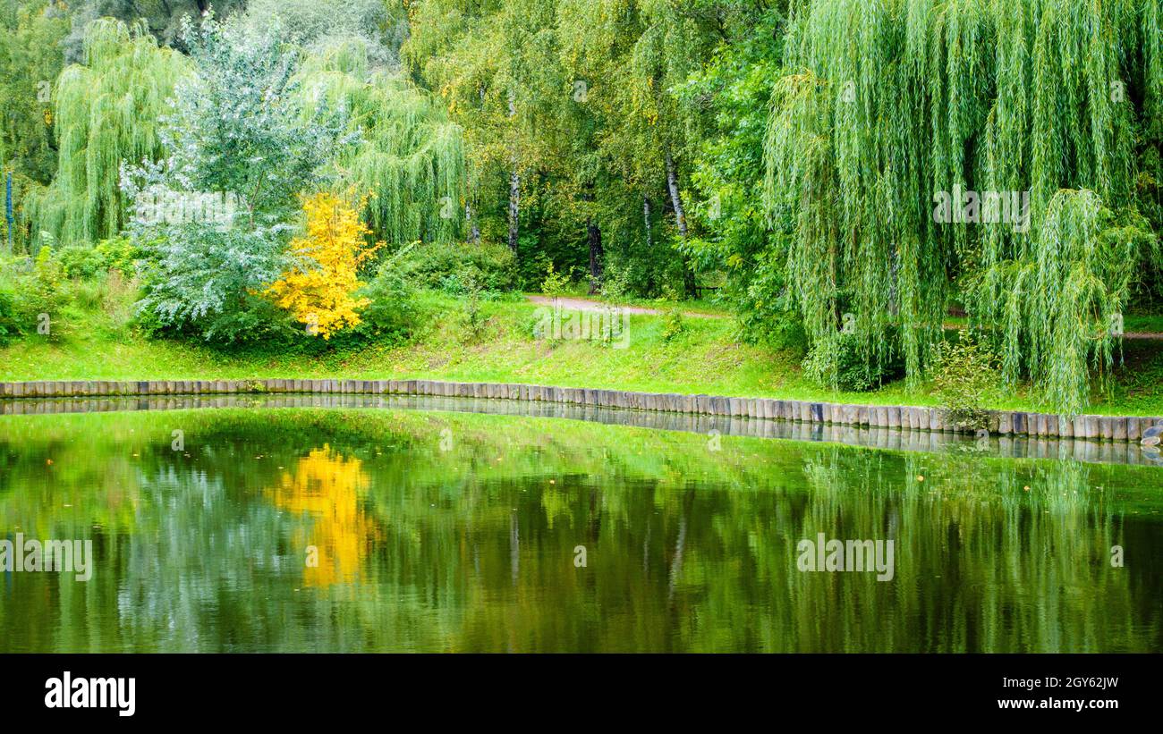 Early fall scene in a park in Moscow, Russia Stock Photo - Alamy