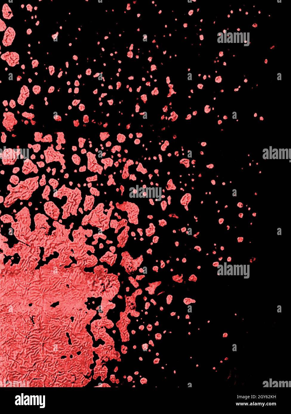 Top Paint Splatter Red