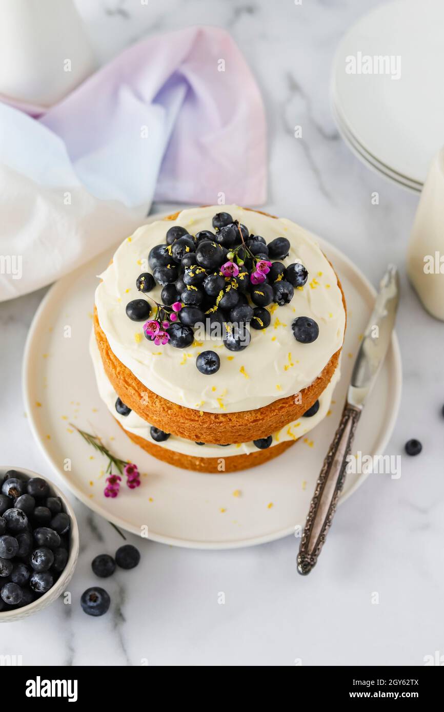A blueberry sponge cake in a white kitchen Stock Photo - Alamy
