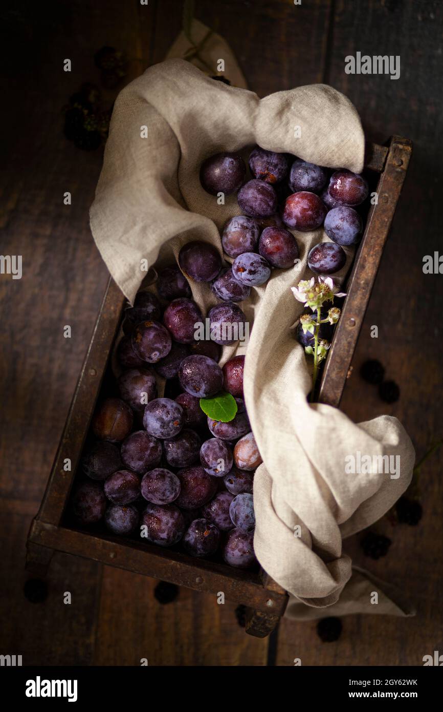 Fresh damsons hi-res stock photography and images - Alamy