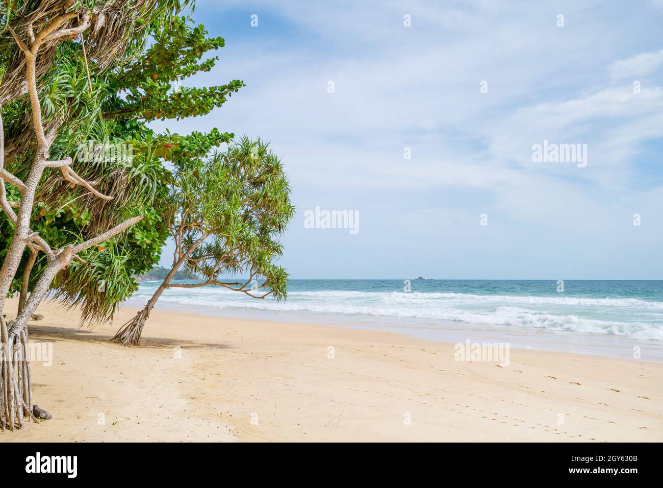 Empty tropical summer beach background Green trees leaves frame with ...