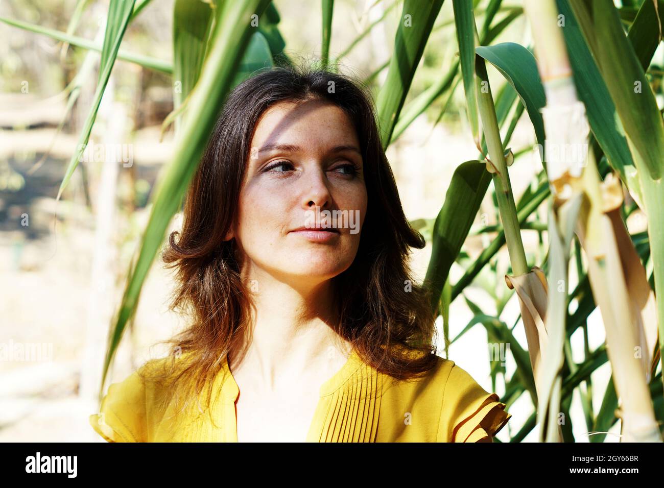 Portrait of a pretty Spanish woman in a yellow dress posing in a ...