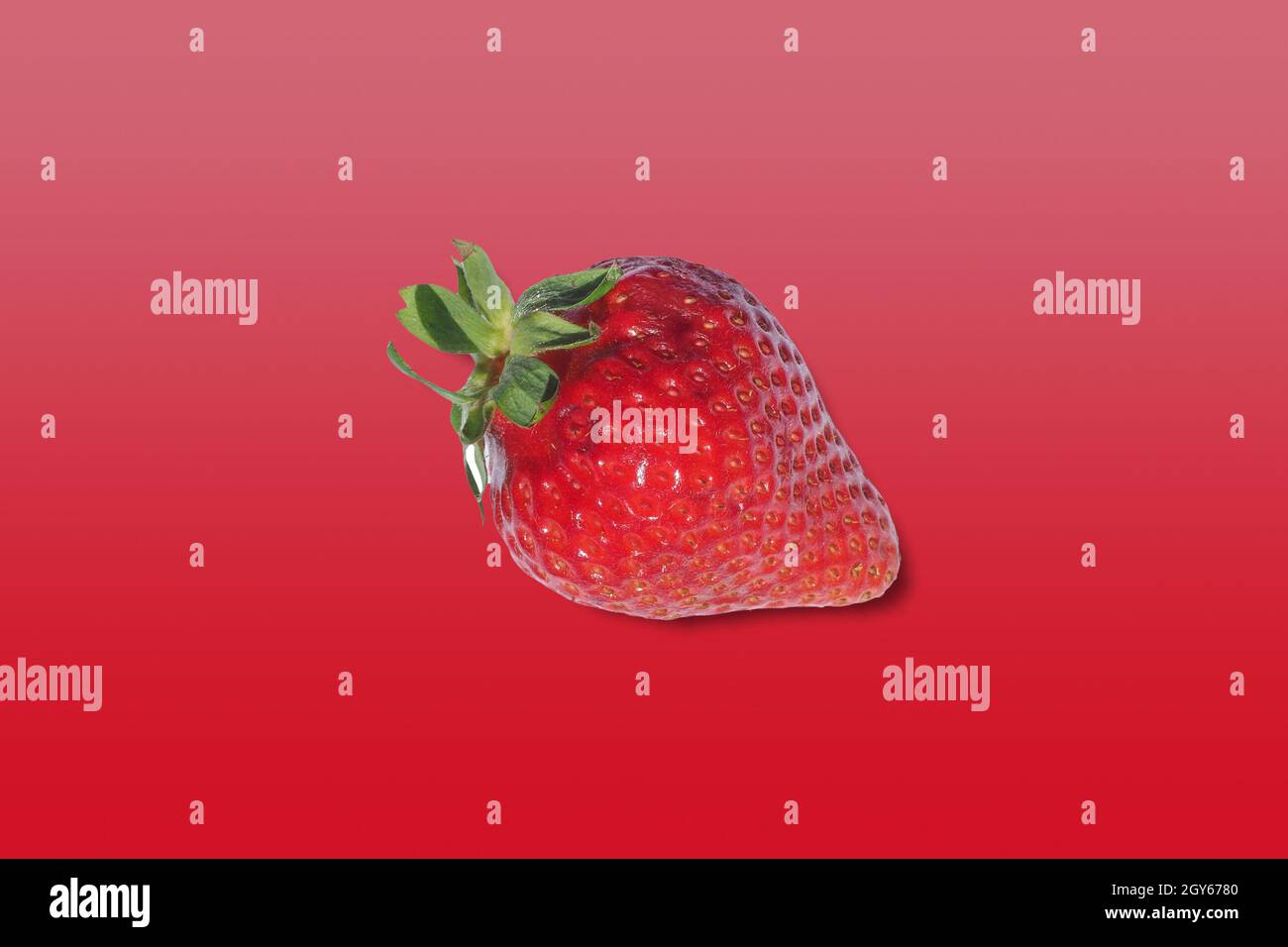 red strawberry fruit over matching colour gradient background with copy ...