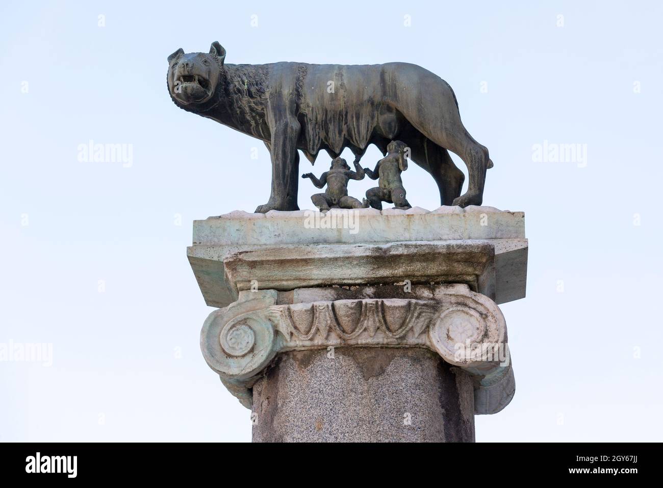 Capitoline Wolf (Lupa Capitolina), bronze statue of she-wolf suckling ...