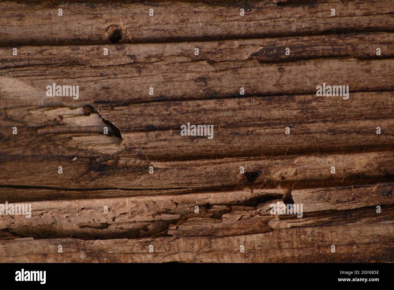 Furnished background with a wooden texture with a non-reflective ...