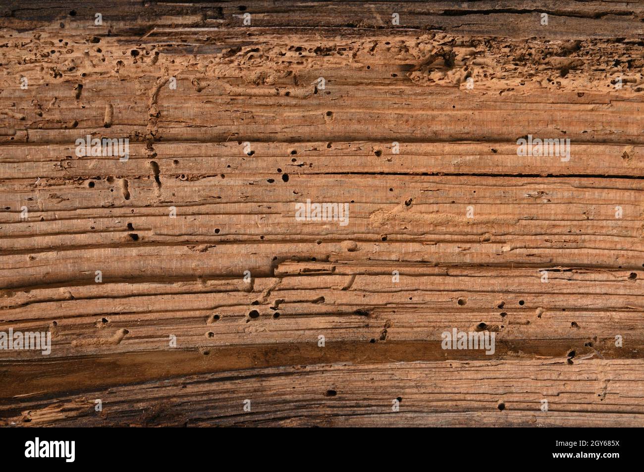 Furnished background with a wooden texture with a non-reflective ...