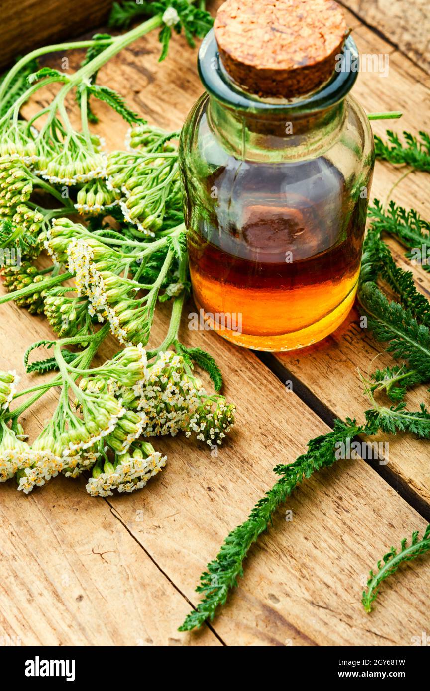 Yarrow flower essence hi-res stock photography and images - Alamy