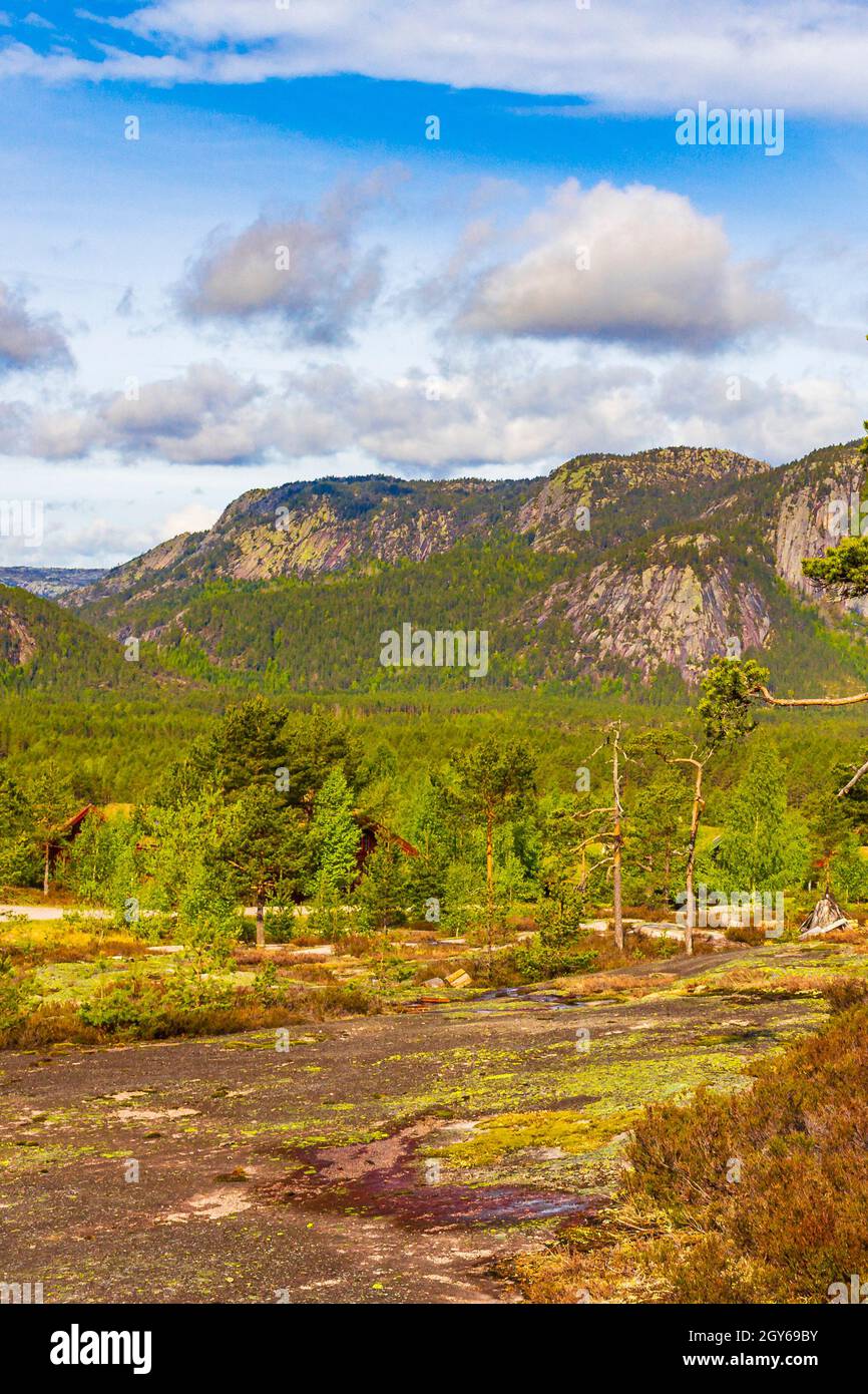 Panorama with fir trees and mountains in nature landscape of Treungen ...