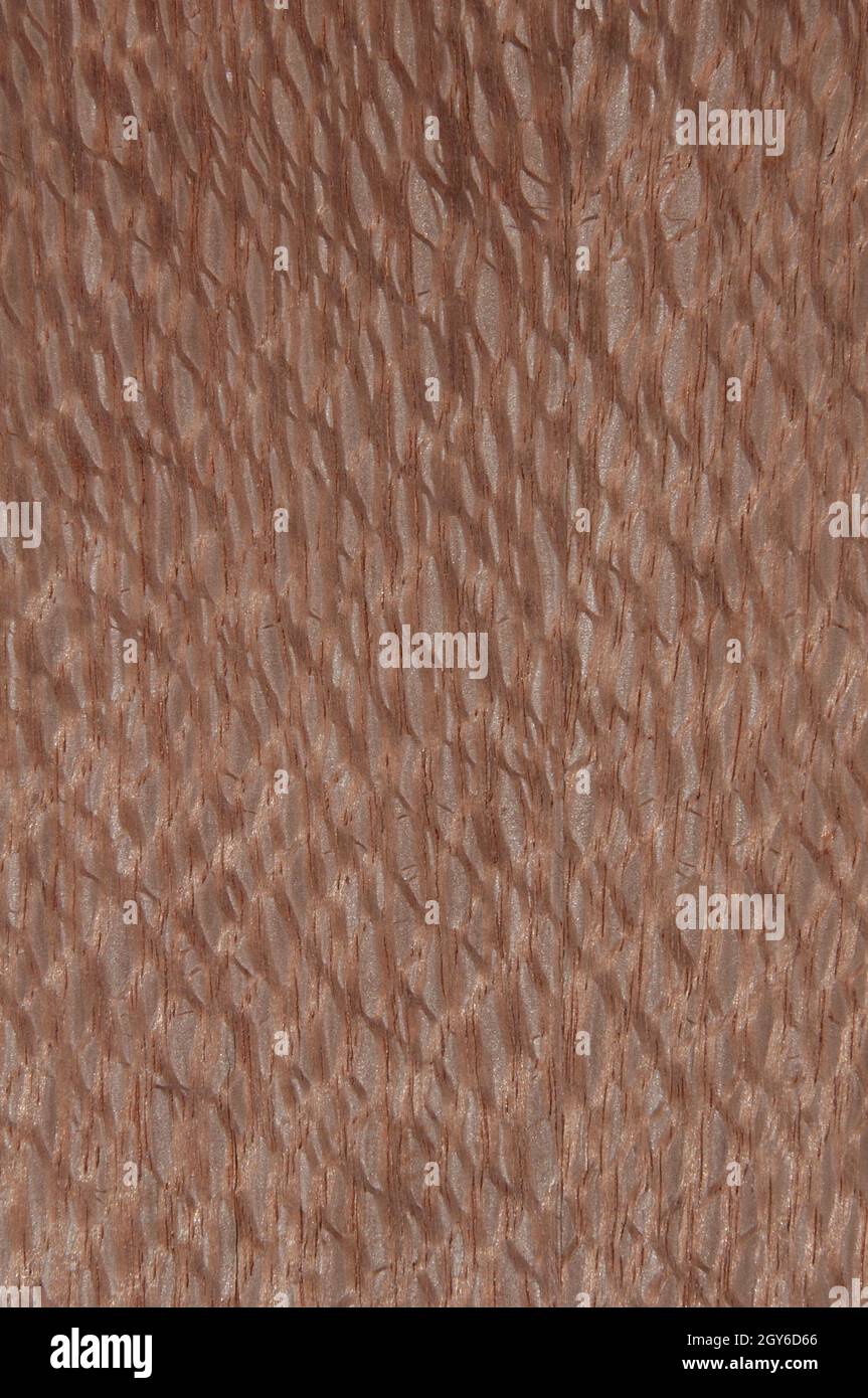 a wood rustic exclusive texture Stock Photo - Alamy