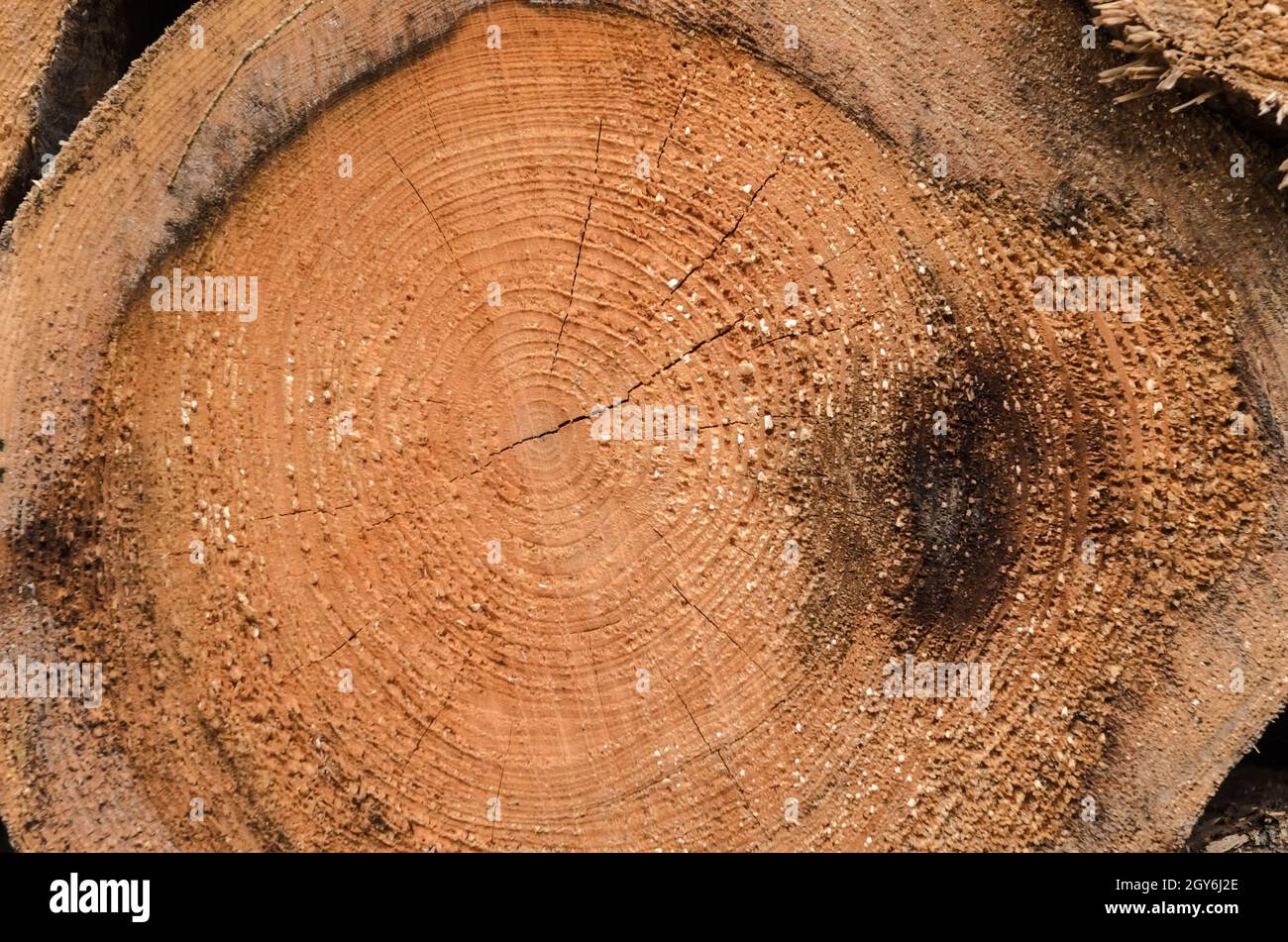 Harvest age hi-res stock photography and images - Alamy