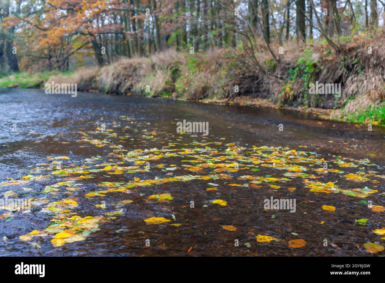 Dyje river thaya hi-res stock photography and images - Alamy
