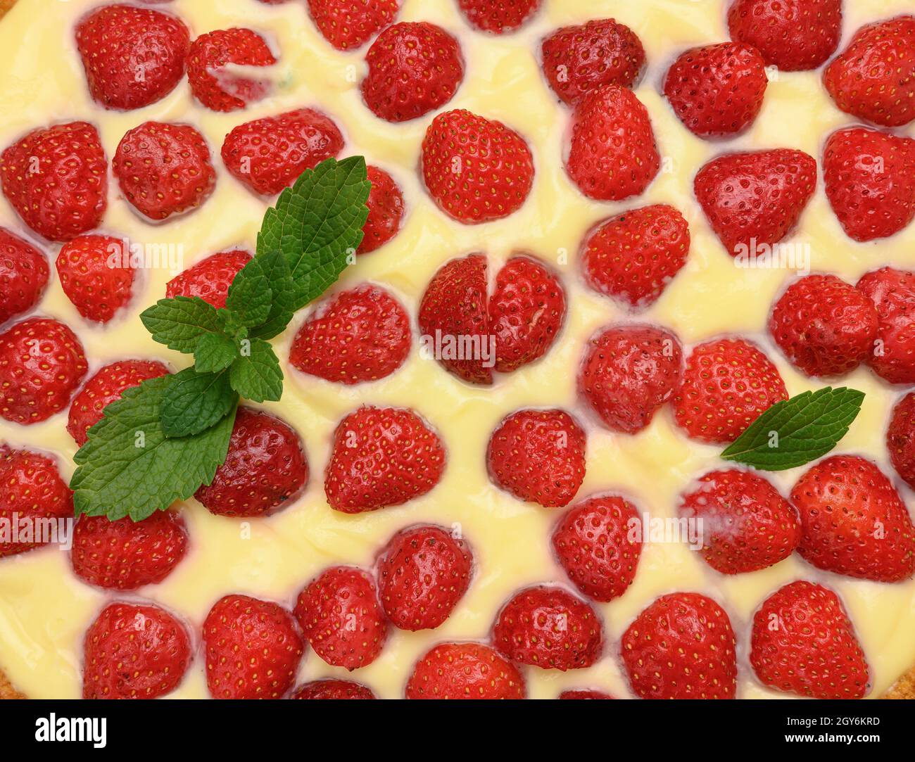 Cake texture hi-res stock photography and images - Alamy