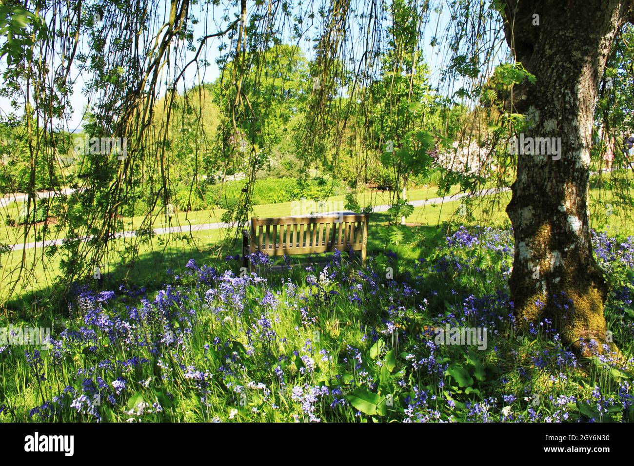 Glorious Springtime - Scotland Stock Photo - Alamy