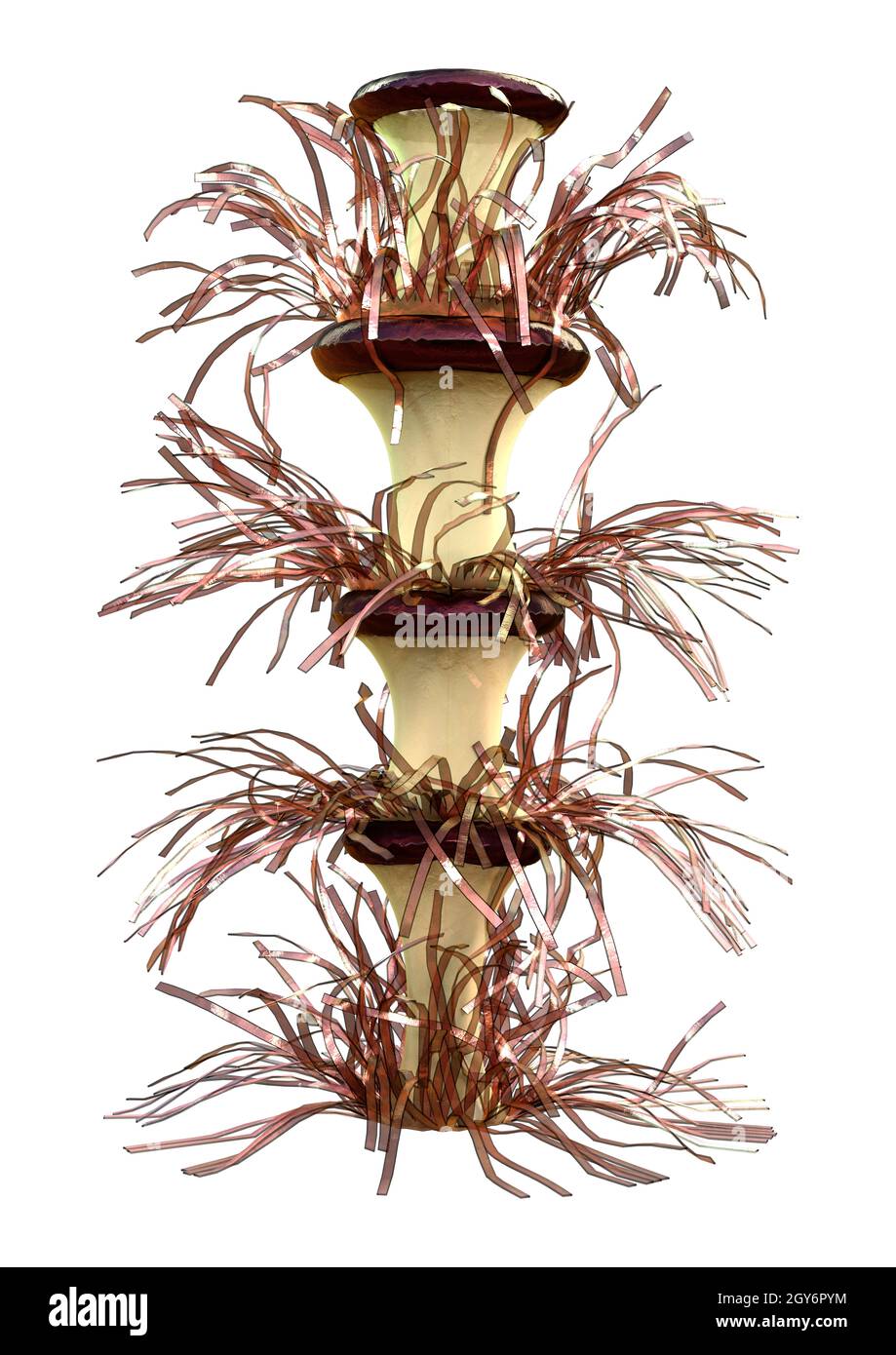 3D rendering of a fantasy alien plant isolated on white background ...