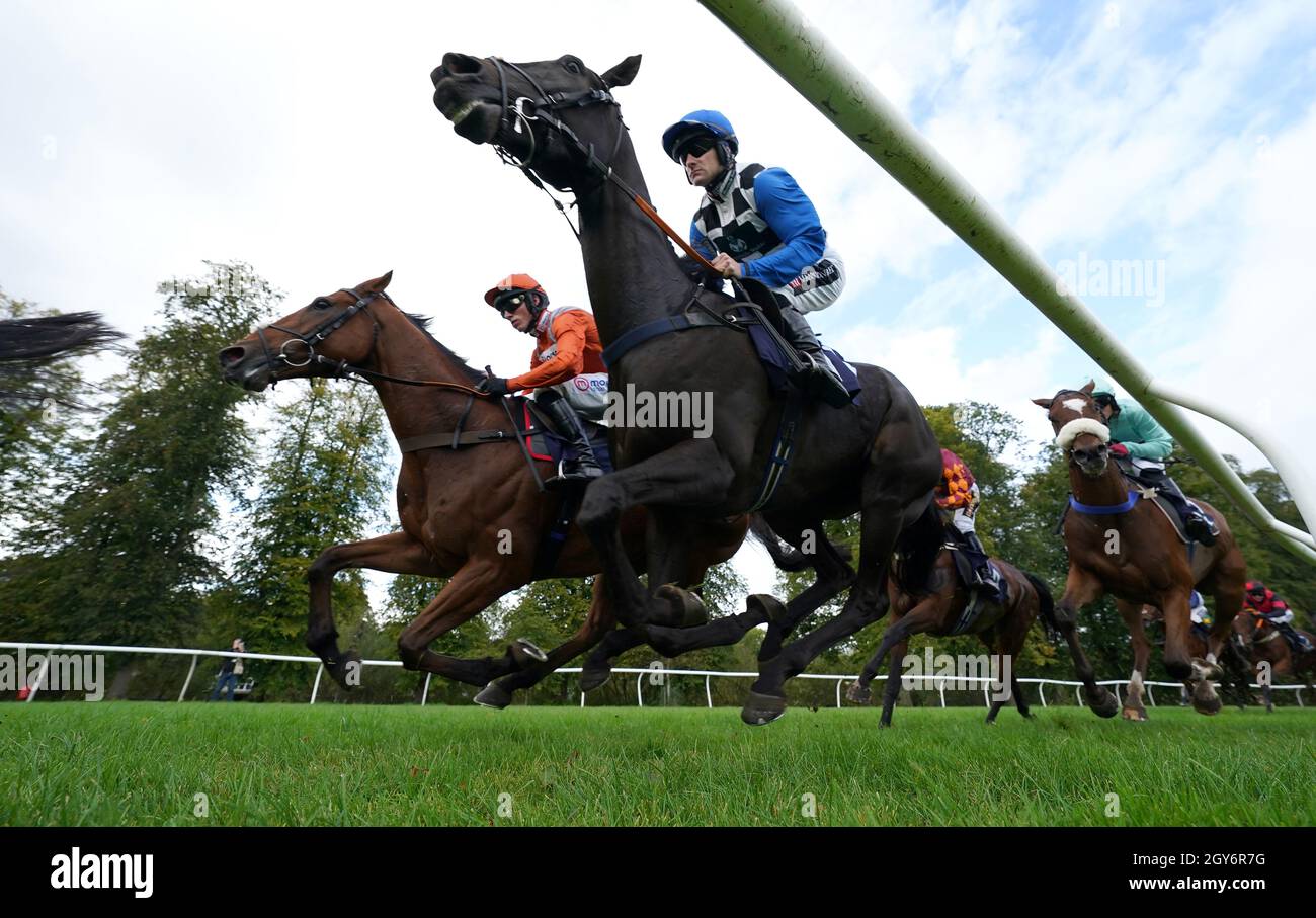 Outlaw peter horse hi-res stock photography and images - Alamy