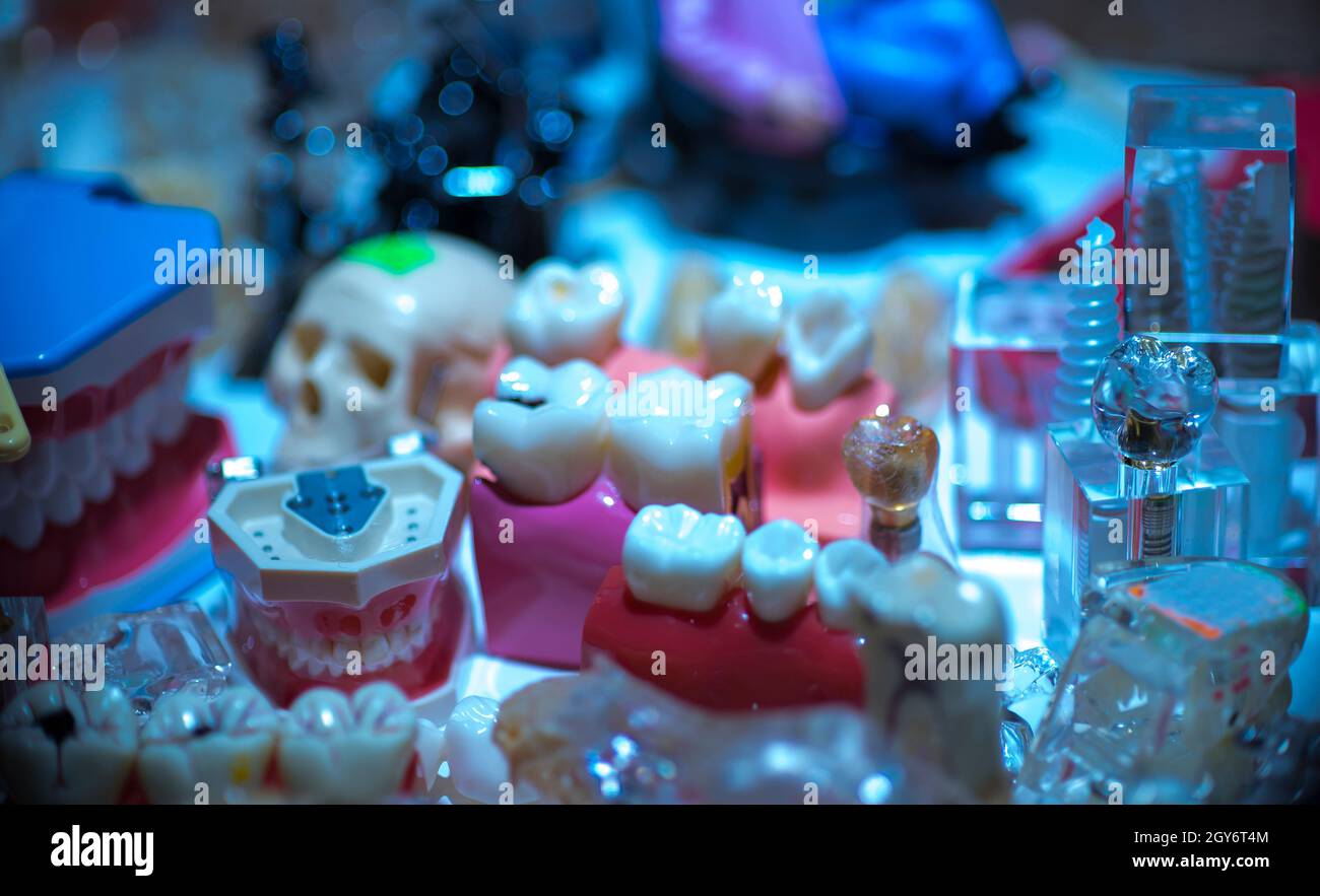 Dentures, model of the teeth, jaw model for studying dentistry on the ...