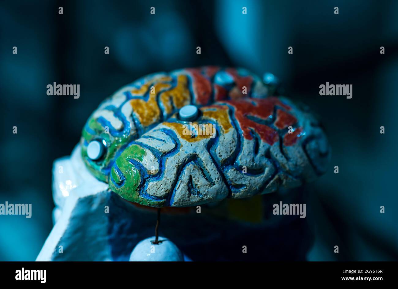 MODEL OF colorful HUMAN BRAIN on blur background Stock Photo - Alamy