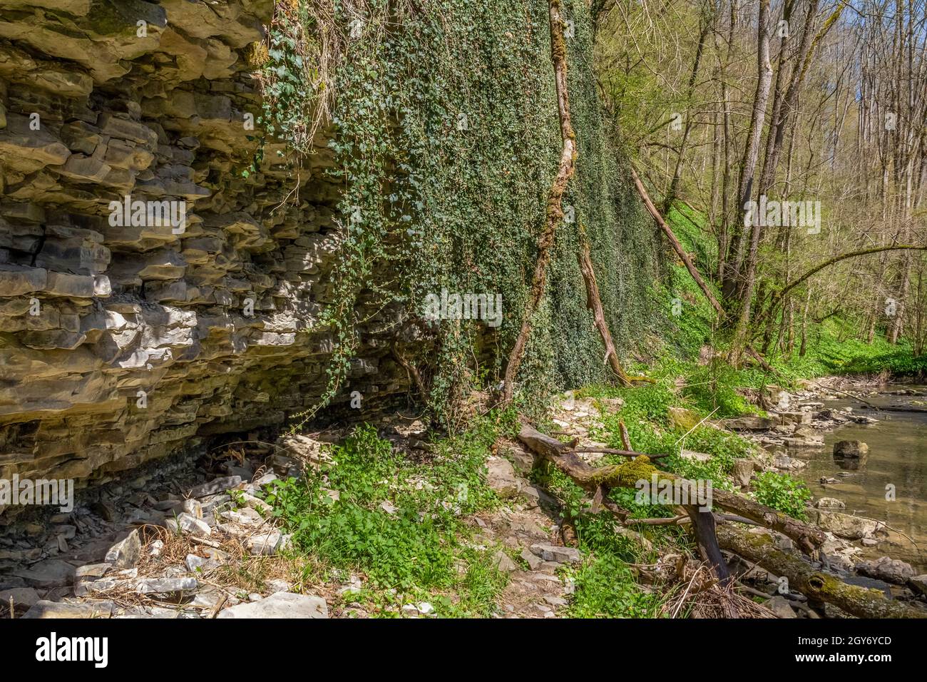 sunny riparian scenery including a overgrown rock face in Southern ...