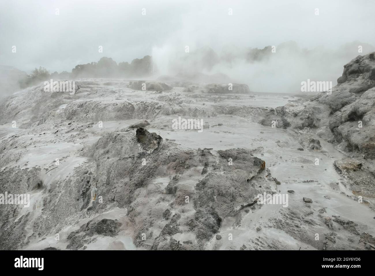 Scenery around the Geothermal Valley Te Puia in New Zealand Stock Photo ...