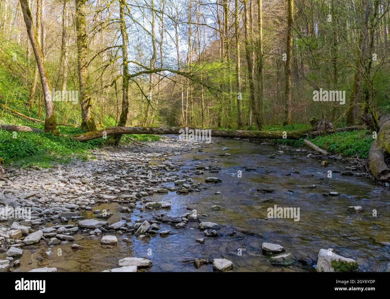 Idyllic scenery at river Kupfer in Hohenlohe, an area in Southern ...