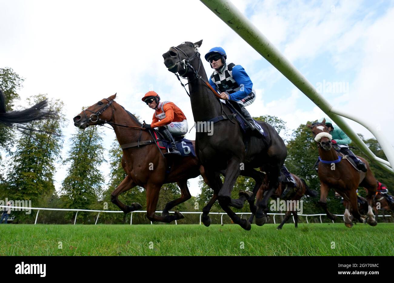 Outlaw peter horse hi-res stock photography and images - Alamy