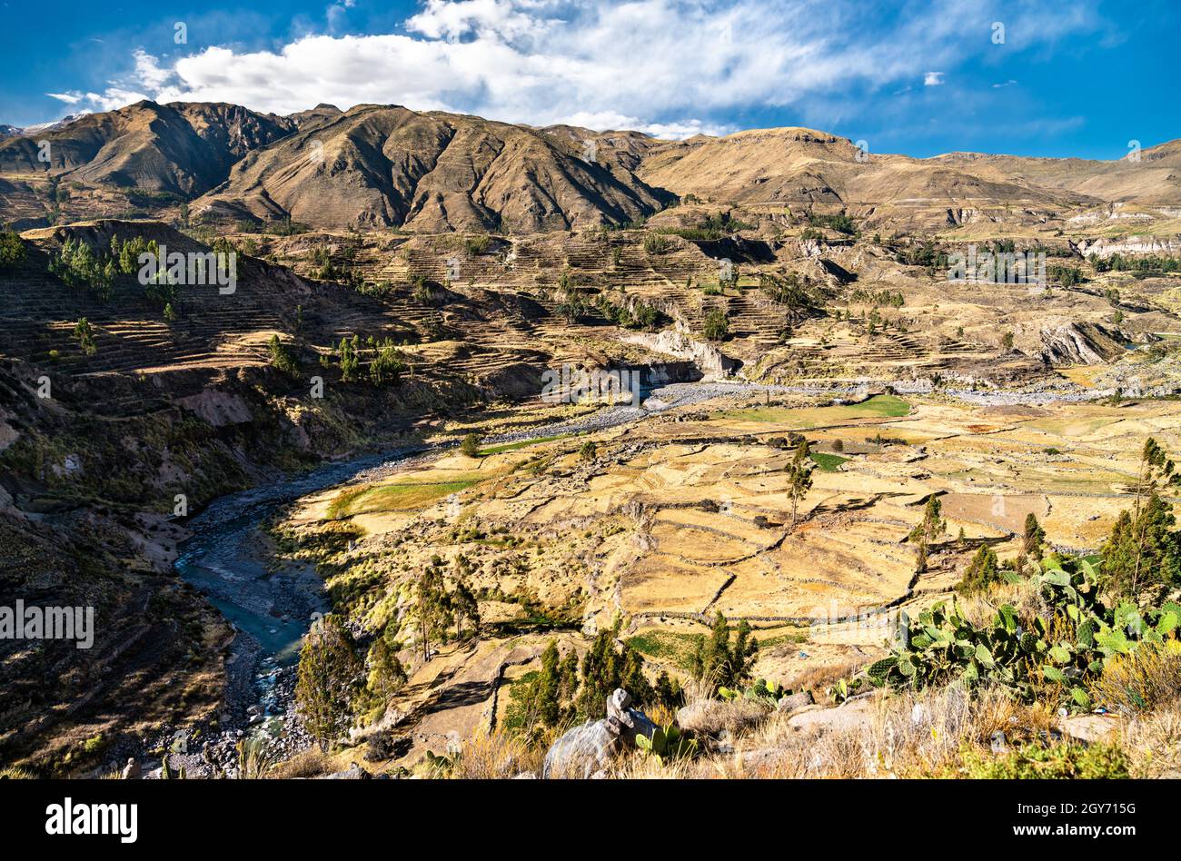 The Colca river with its canyon in Peru Stock Photo - Alamy