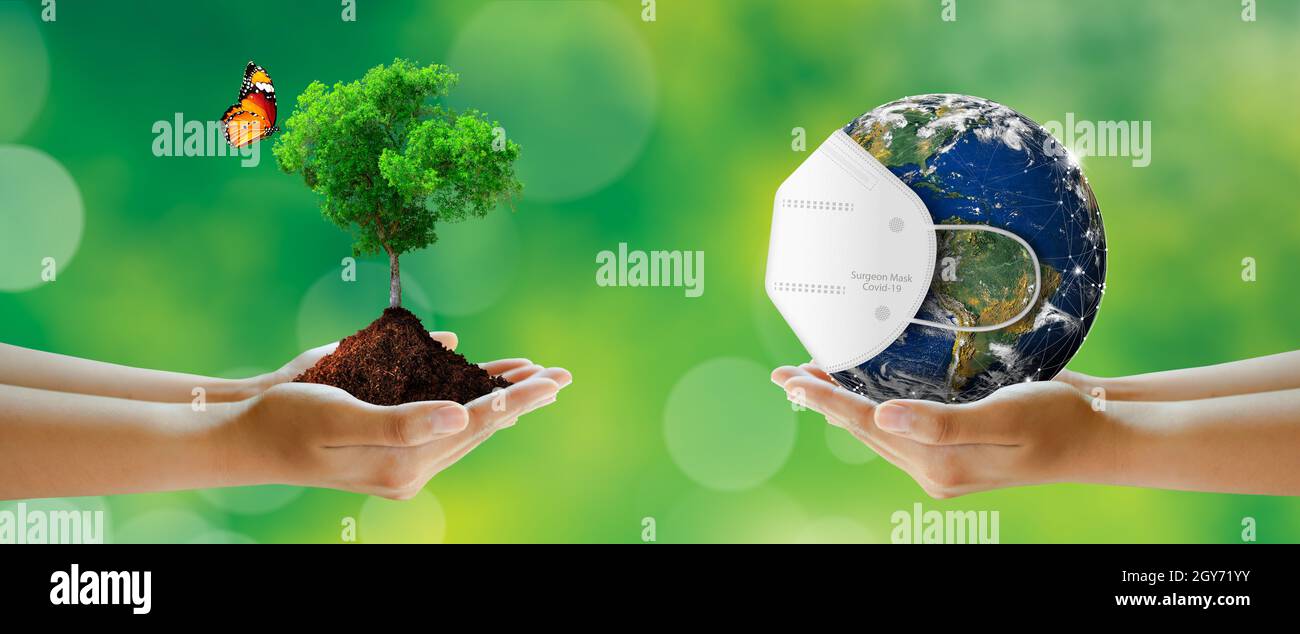 Tree with Butterfly and Earth wearing a surgeon mask for Corona virus ...