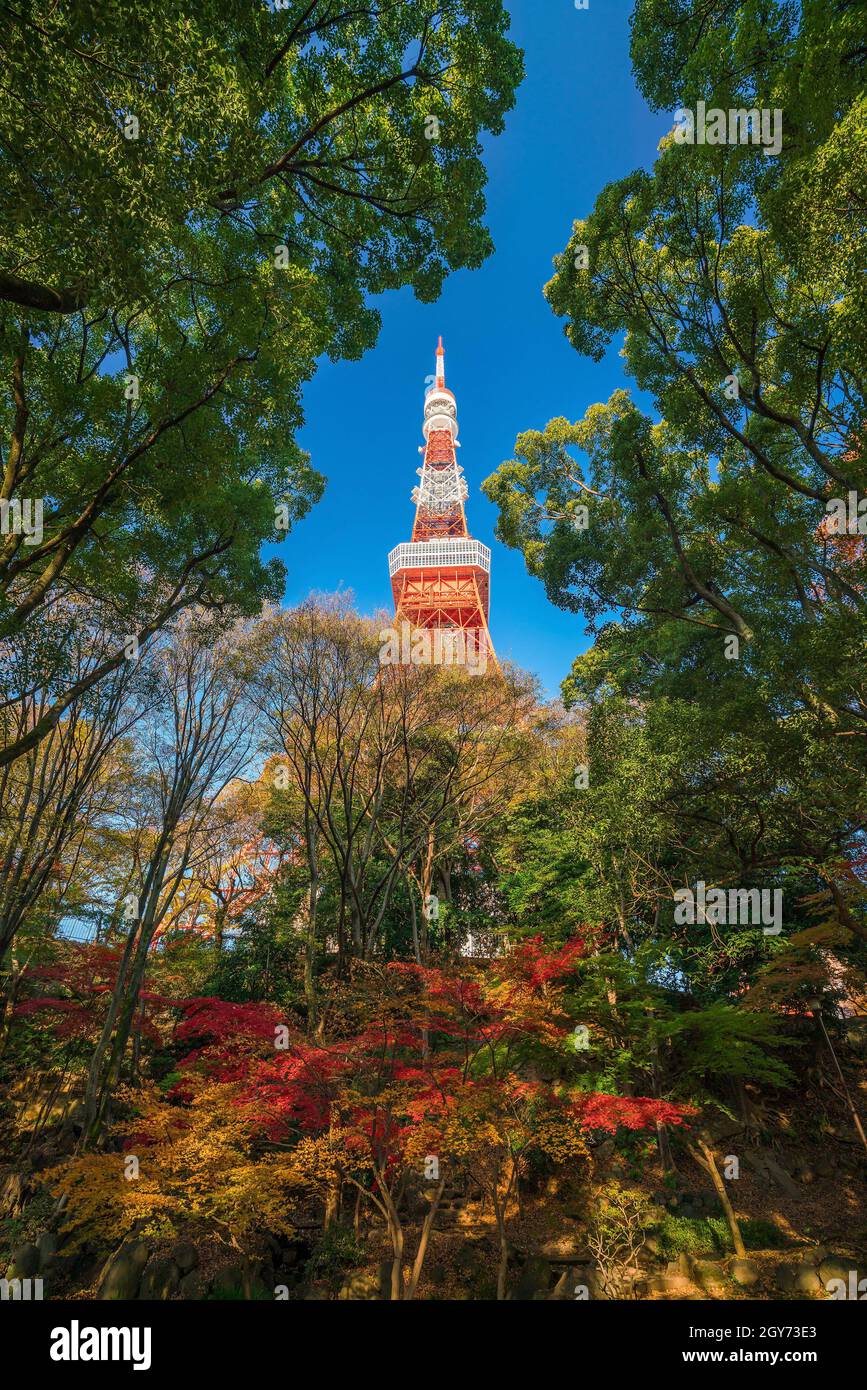 Tokyo Tower with blue sky in Japan Stock Photo - Alamy
