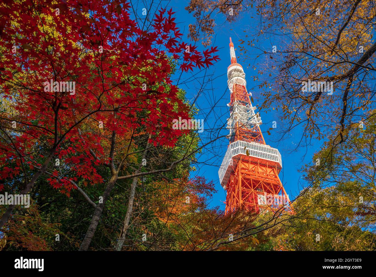 Tokyo Tower with blue sky in Japan Stock Photo - Alamy
