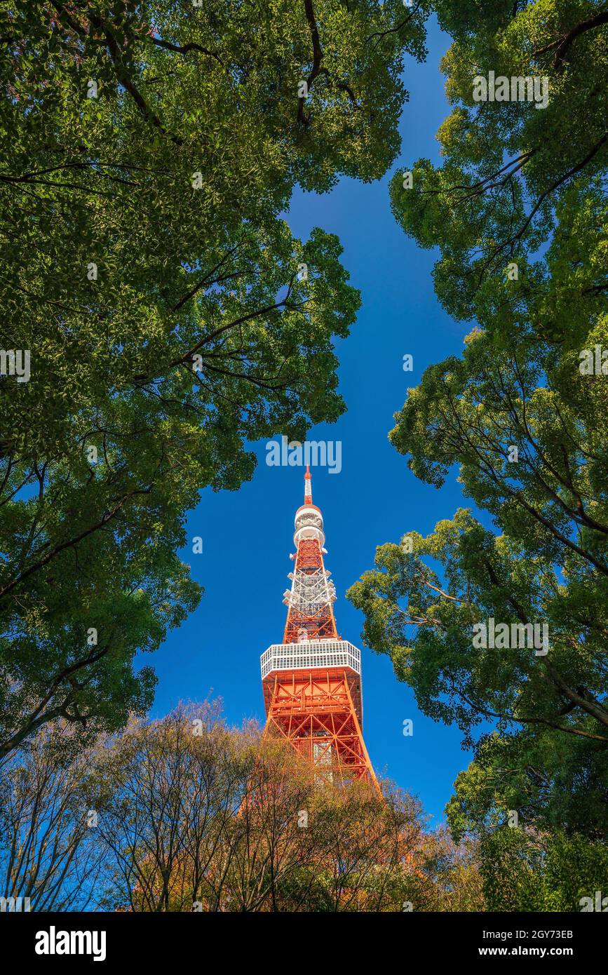 Tokyo Tower with blue sky in Japan Stock Photo - Alamy