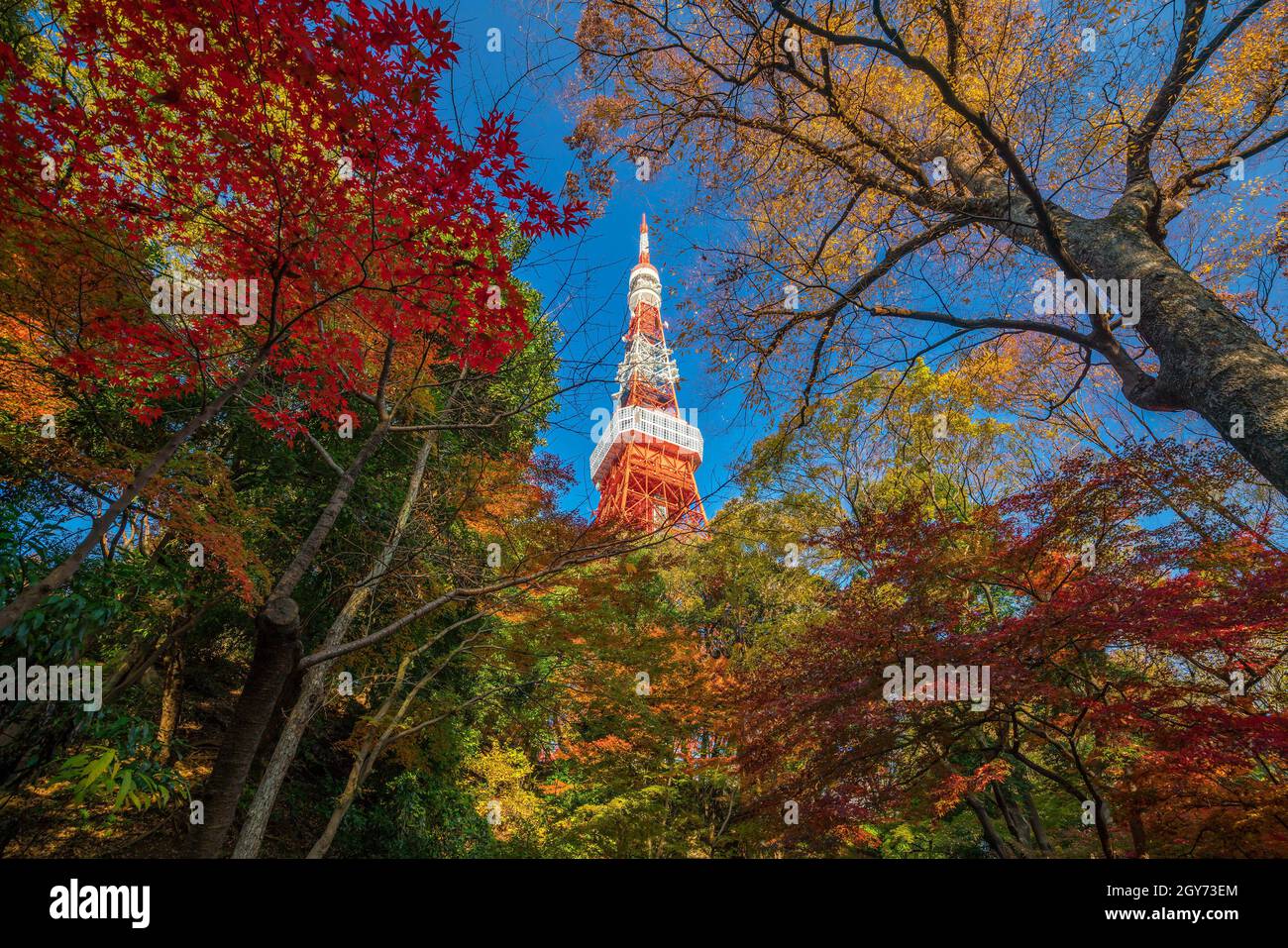 Tokyo Tower with blue sky in Japan Stock Photo - Alamy