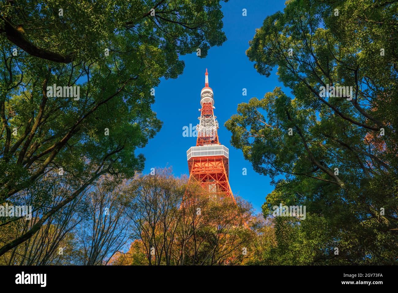 Tokyo Tower with blue sky in Japan Stock Photo - Alamy