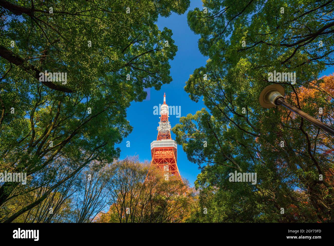 Tokyo Tower with blue sky in Japan Stock Photo - Alamy