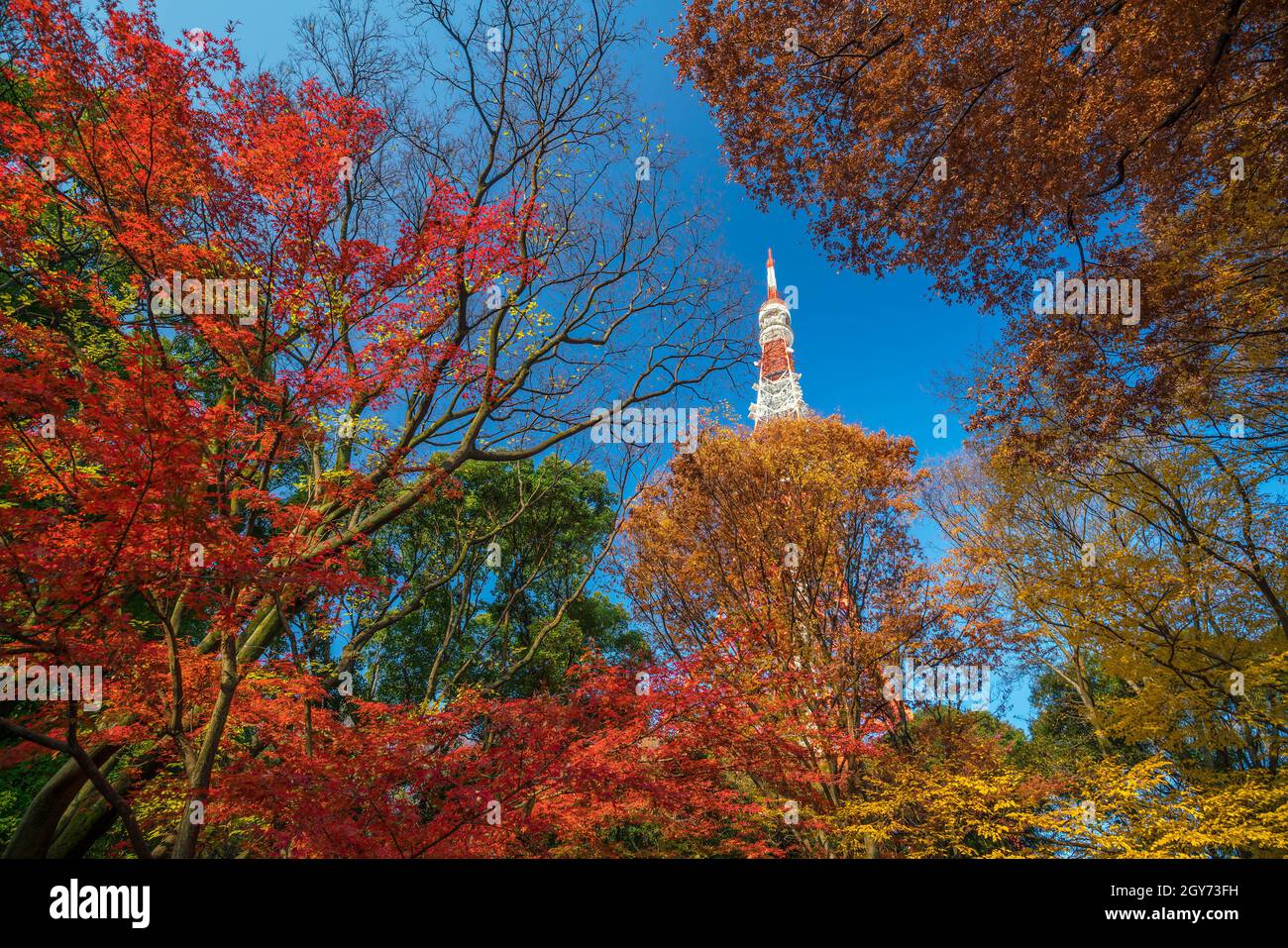 Tokyo Tower with blue sky in Japan Stock Photo - Alamy