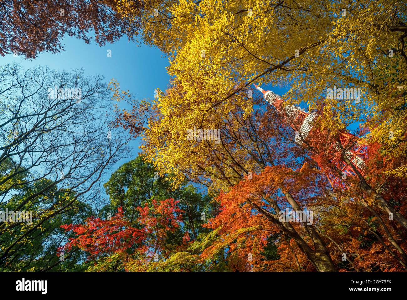 Tokyo Tower with blue sky in Japan Stock Photo - Alamy